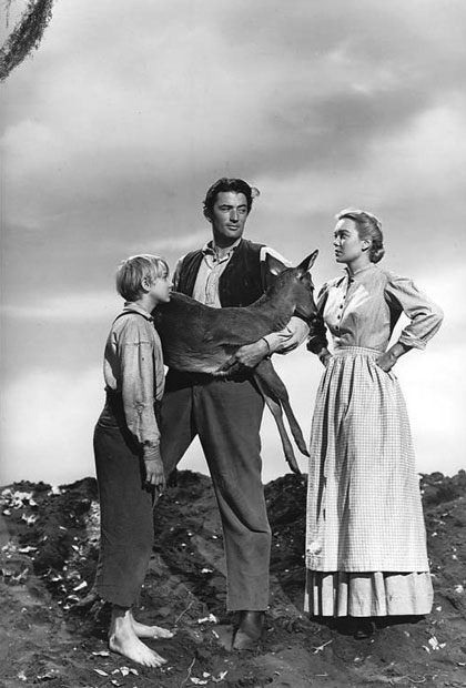 The Yearling (1946) - Toronto Film Society